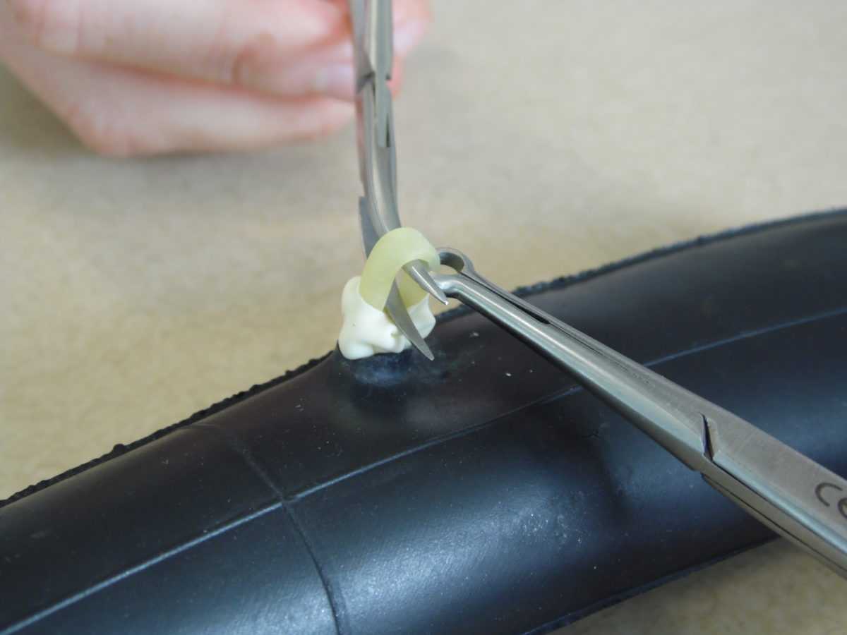 Bicycle Inner Tube Model – Vasectomy Resources
